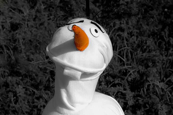 Frozen ~ | Maverick Mist